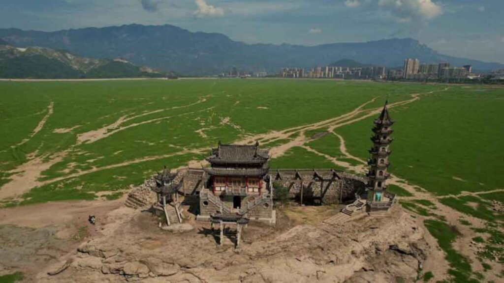Ikan Mati di Danau Dongting, Danau Poyang Berubah Menjadi Padang Rumput ...